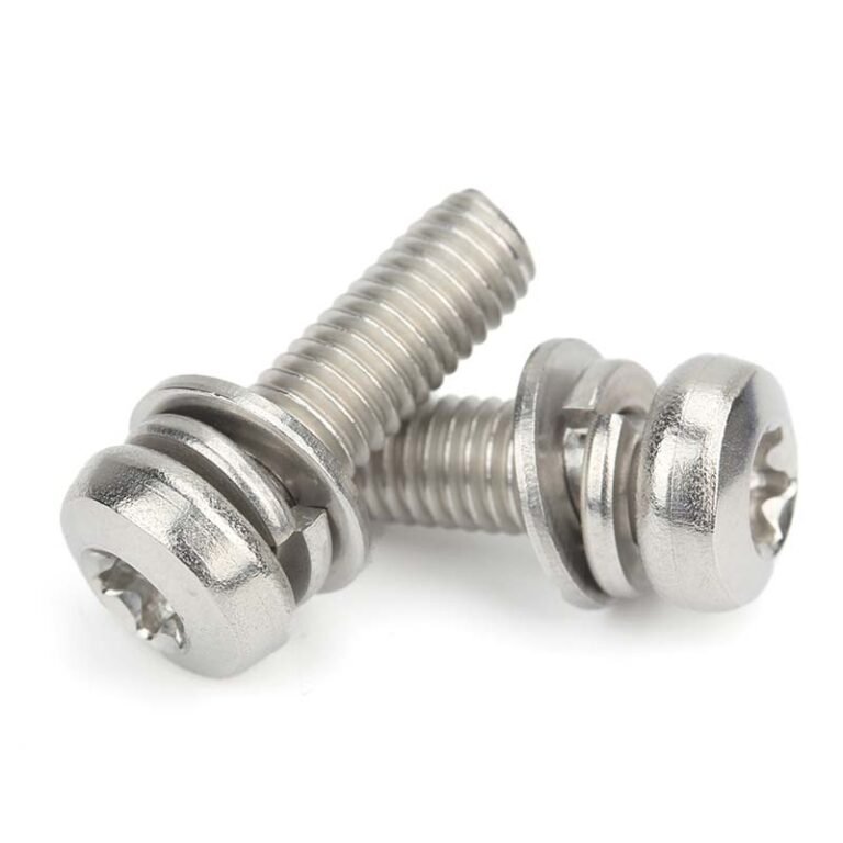 Stainless Steel Torx Socket SEMS Screws | Flybear Fastener